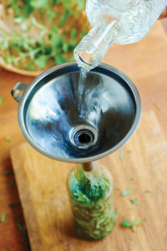 Making Medicine in the Mountains - Mother Earth Living